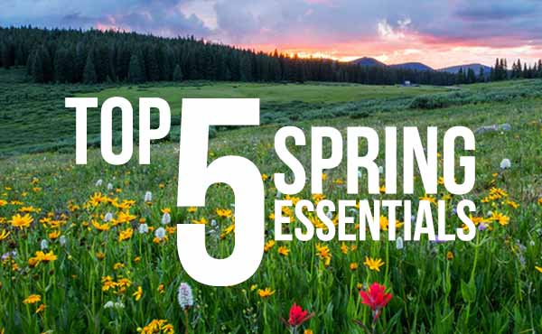 Shop Blauer Spring Essentials